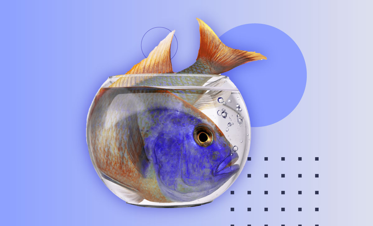 5 Signs Your Restaurant Brand Is Outgrowing Its POS | PAR Technology